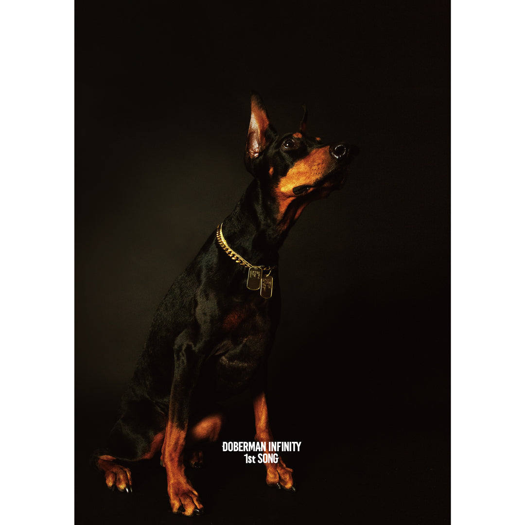 初回生産限定盤(CD+DVD)】1st SONG – Hi, mu-mo